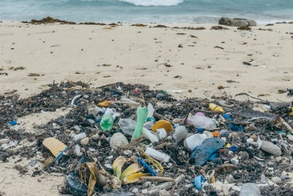 Identifica Unicaribe a las playas más contaminadas con plásticos ...